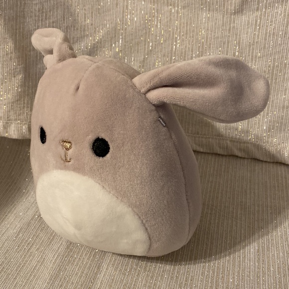 Squishmallows | Toys | Rare Kellytoy Squishmallows 5 Robyne Rabbit ...